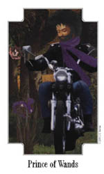 Arnell Ando's Transformational Tarot Deck published by US Games, Inc.